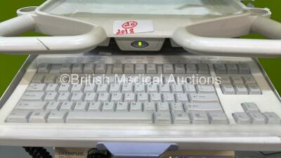 Olympus Stack System with Olympus OEV261H Monitor (No Power Supply ...
