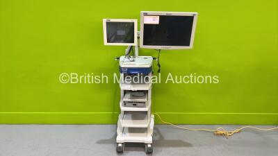 Karl Storz Stack System Including Storz WideView HD Monitor, Storz ...