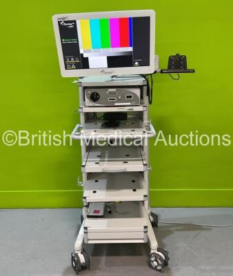 Arthrex Stack Trolley Including Arthrex Synergy HD3 Monitor and ...