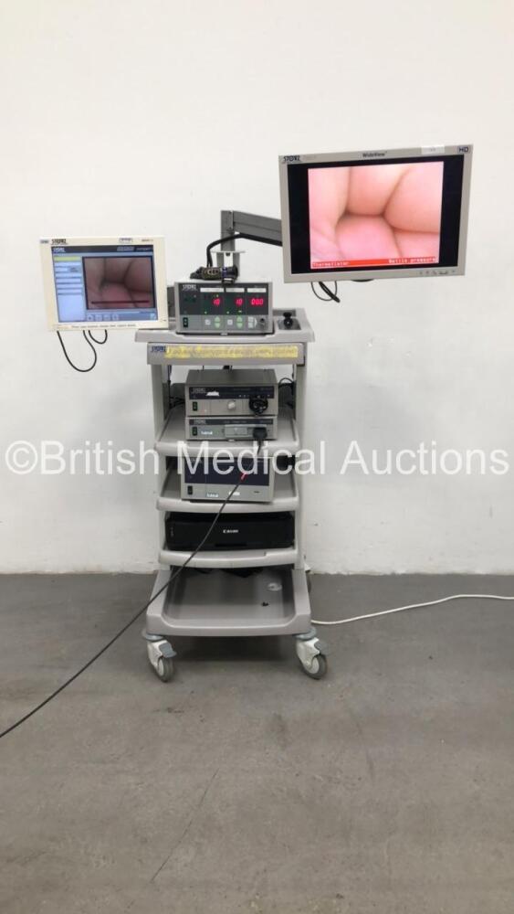 Karl Storz Stack System Including Storz WideView HD Monitor, Storz ...
