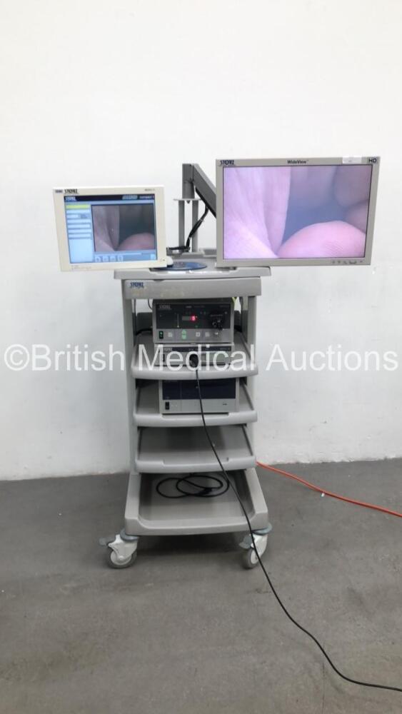 Karl Storz Stack System Including Storz WideView HD Monitor,Storz ...