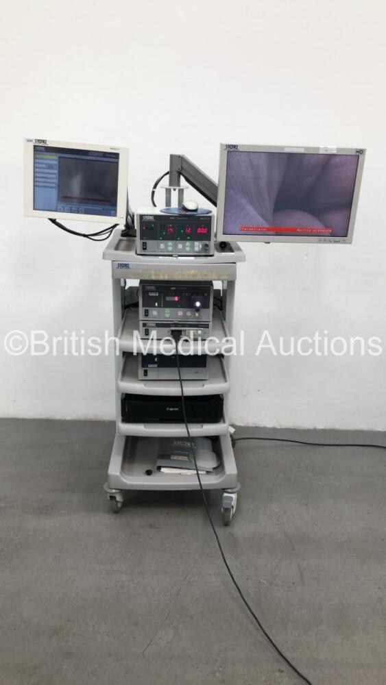 Karl Storz Stack System Including Storz WideView HD Monitor,Storz ...