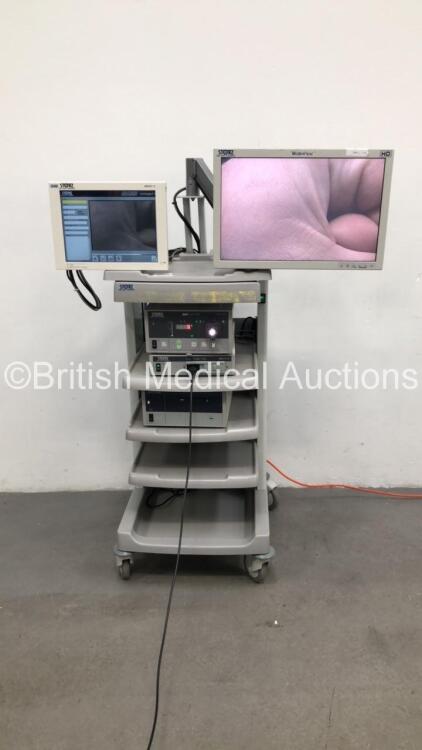 Karl Storz Stack System Including Storz WideView HD Monitor,Storz ...