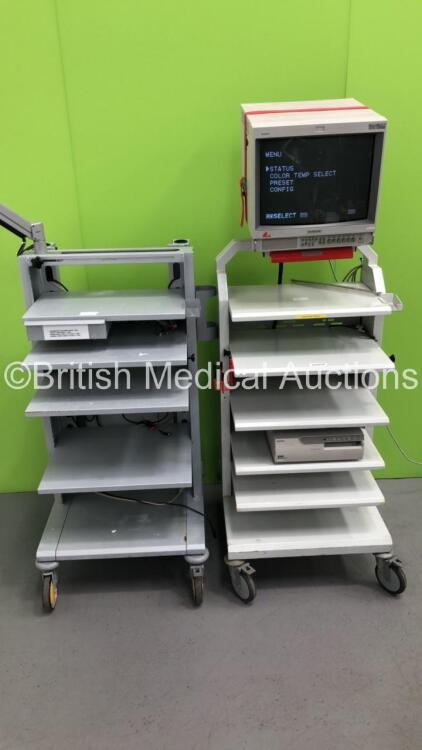 2 x Stryker Stack Trolleys with 1 x Sony Trinitron Monitor and Sony ...