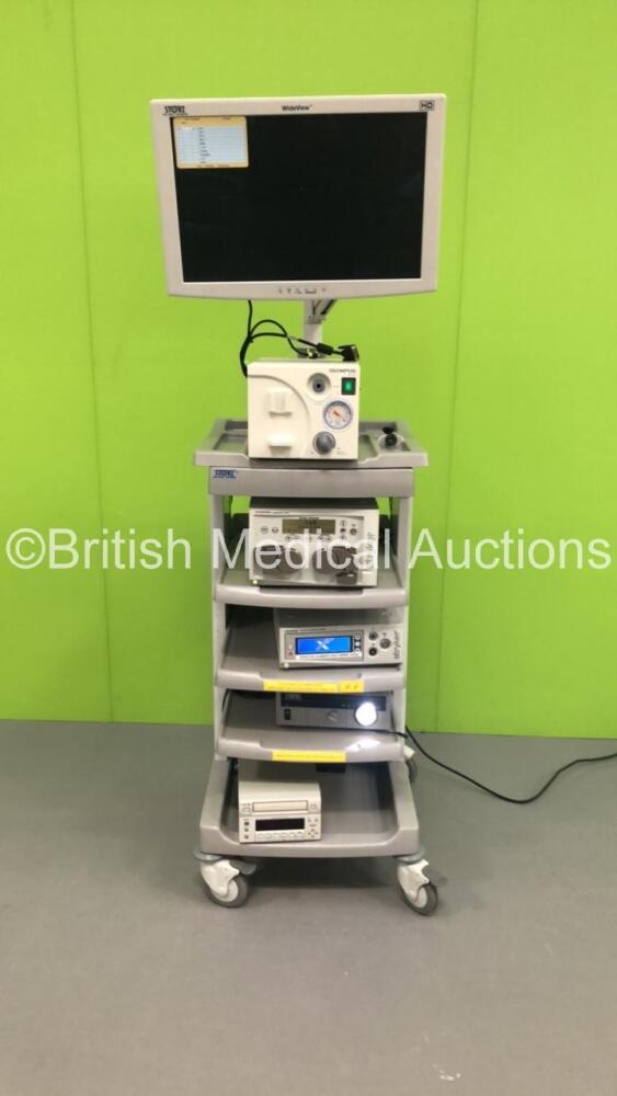 Storz Stack Trolley with Storz WideView HD Monitor, Olympus KV-5 ...