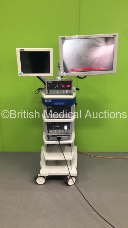 Karl Storz Stack Trolley with Storz WideView HD Monitor, Storz 200903 ...