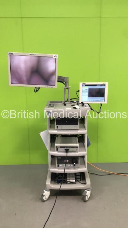 Karl Storz Stack System Including Storz WideView HD Monitor,Storz ...