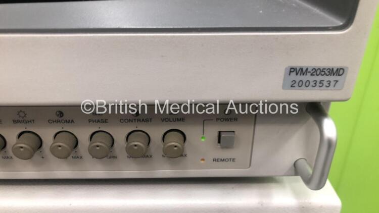 Karl Storz Stack System Including Sony PVM-2053MD Monitor, Karl Storz ...