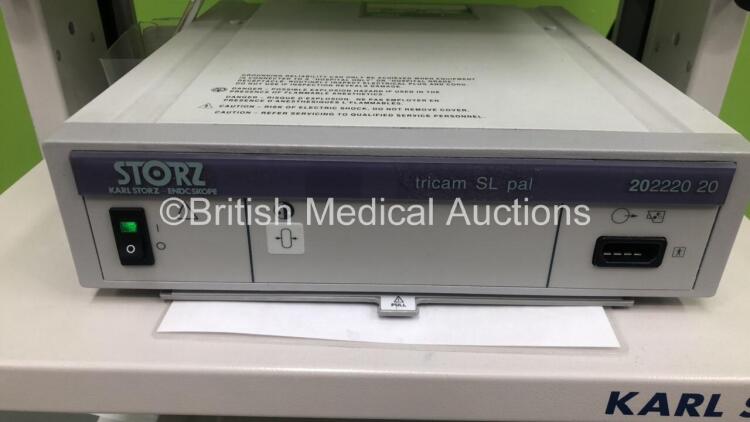 Karl Storz Stack System Including Sony PVM-2053MD Monitor, Karl Storz ...