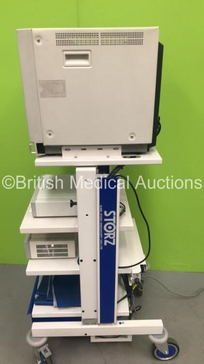 Karl Storz Stack System Including Sony PVM-2053MD Monitor, Karl Storz ...