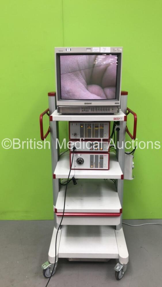 Richard Wolf Stack Trolley with Sony Trinitron Monitor, Richard Wolf ...