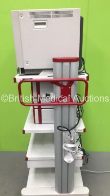 Richard Wolf Stack Trolley with Sony Trinitron Monitor, Richard Wolf ...