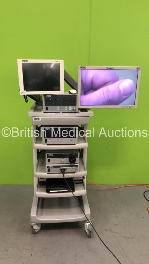 Storz Stack System with Storz WideView HD Monitor, Storz 200903 31 ...