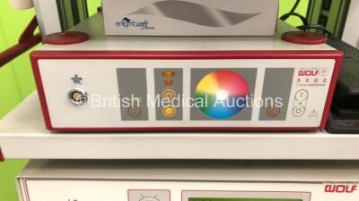 Richard Wolf Stack Trolley with Polytech Finesse Irrigation System ...