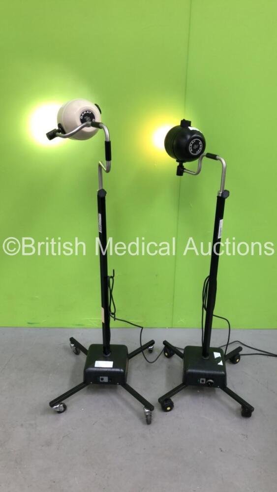 2 x Daray Examination Lights (Both Power Up) | September 2022 Mixed ...