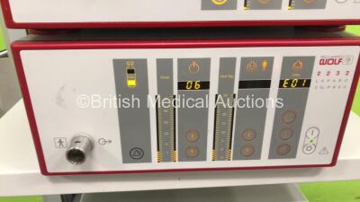 Richard Wolf Stack Trolley with 2 x Sony Monitors, Richard Wolf 5508 3 ...