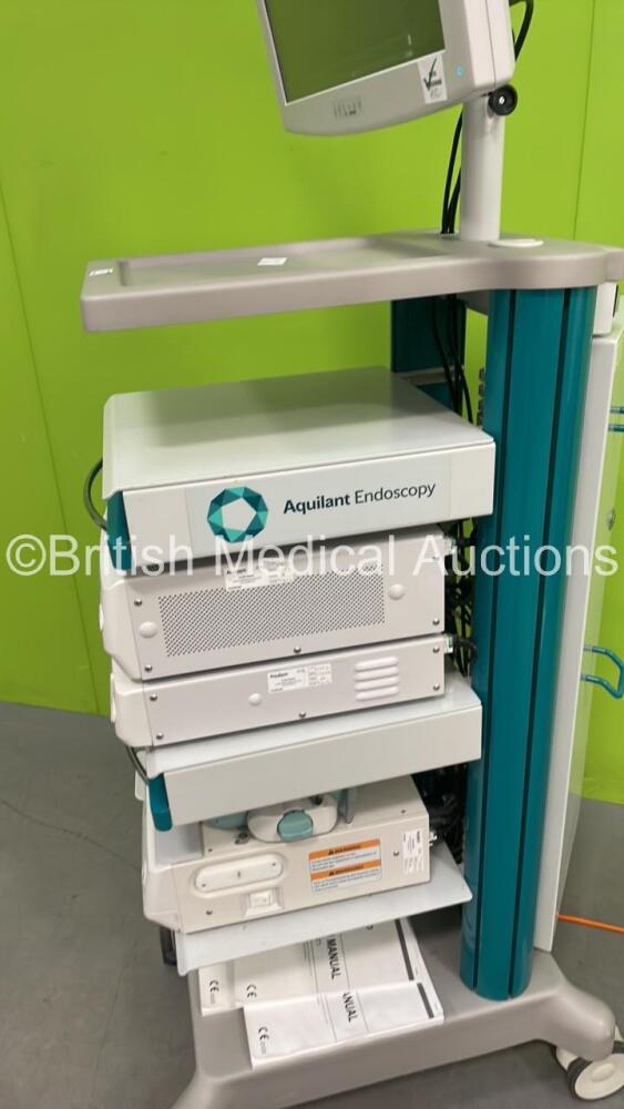 Aquilant Endoscopy Stack Trolley with Fujifilm Monitor, Fujinon ...