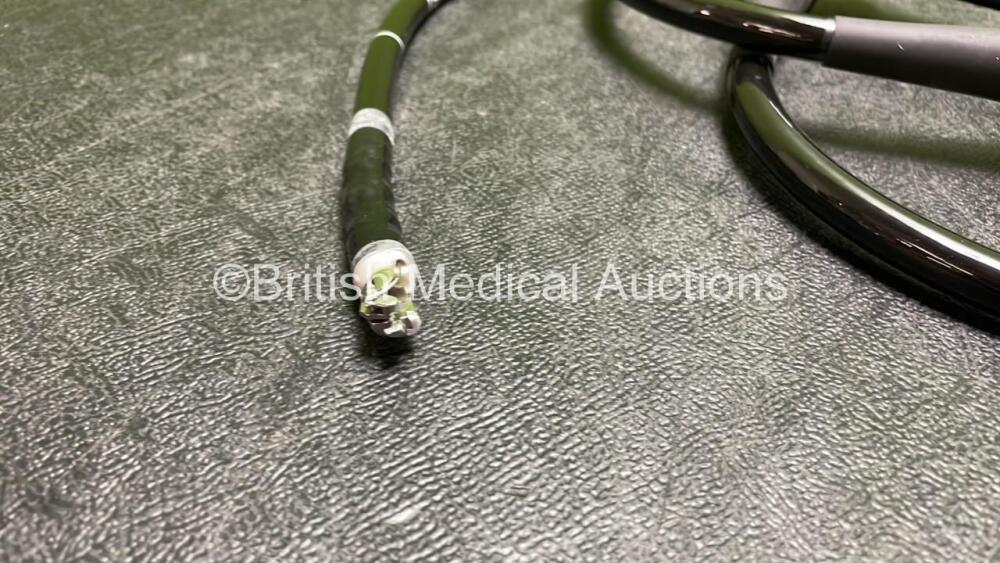 Olympus TJF-260V Video Duodenoscope in Case - Engineer's Report ...