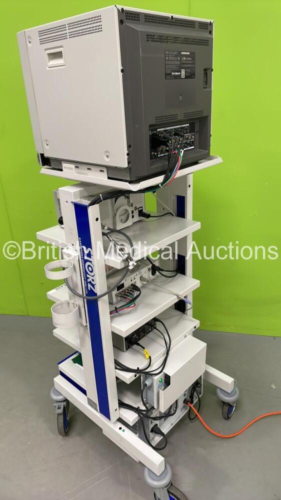 Storz Stack System with Sony Monitor, Storz 264305 20 Electronic ...