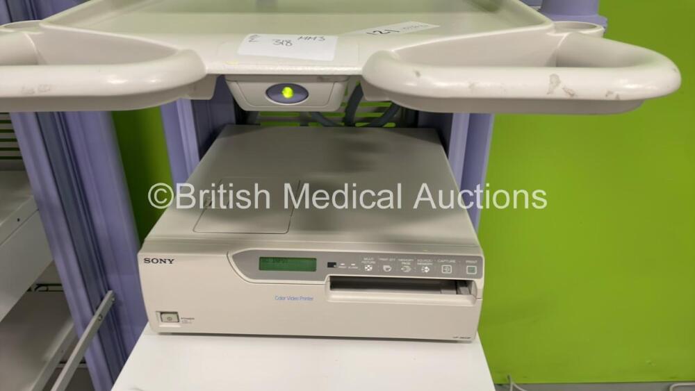 2 x Olympus Stack Trolleys with Olympus OEV191H Monitor, Sony UP-285OP ...