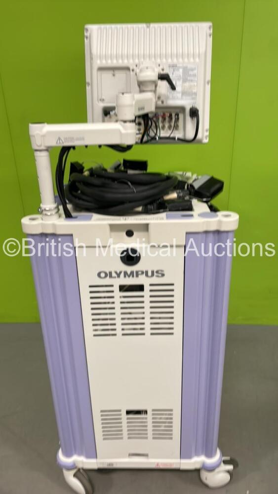 Olympus Stack Trolley with Olympus OEV191H Monitor, Olympus Evis Exera ...