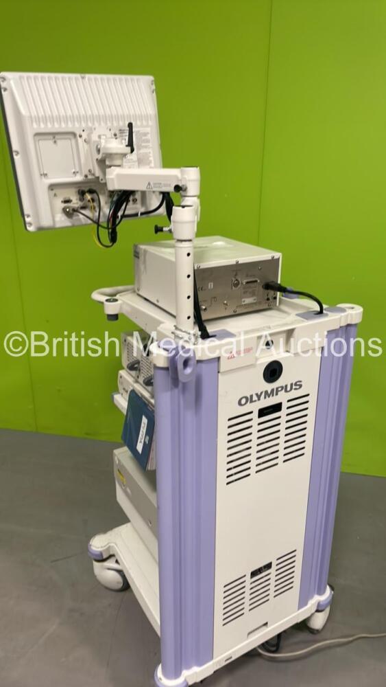 Olympus Stack Trolley with Olympus OEV191H Monitor, Olympus OES UHI-3 ...