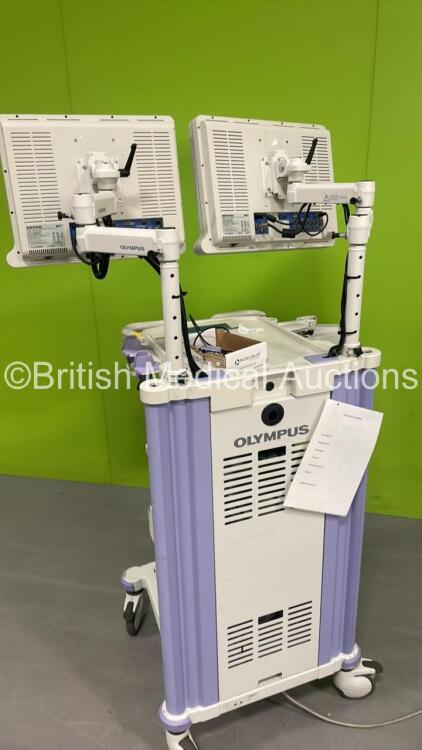 Olympus Stack Trolley with 2 x Advan Monitors, Sony UP-21MD Colour ...