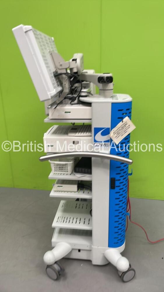 ConMed Stack System with Olympus OEV621H Monitor, ConMed Linvatec 1080P ...