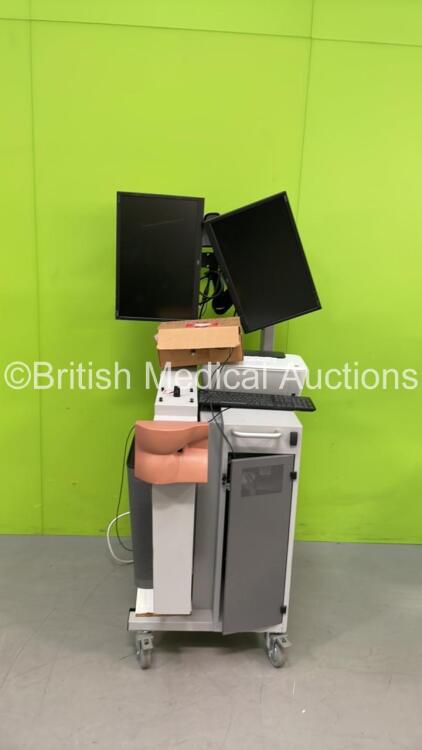 AccuTouch Endoscopy Simulator with Dual Screens and Accessories (3 Pin ...