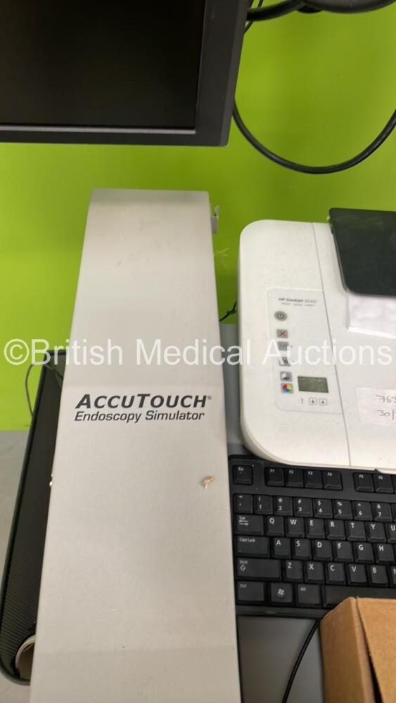 AccuTouch Endoscopy Simulator with Dual Screens and Accessories (3 Pin ...