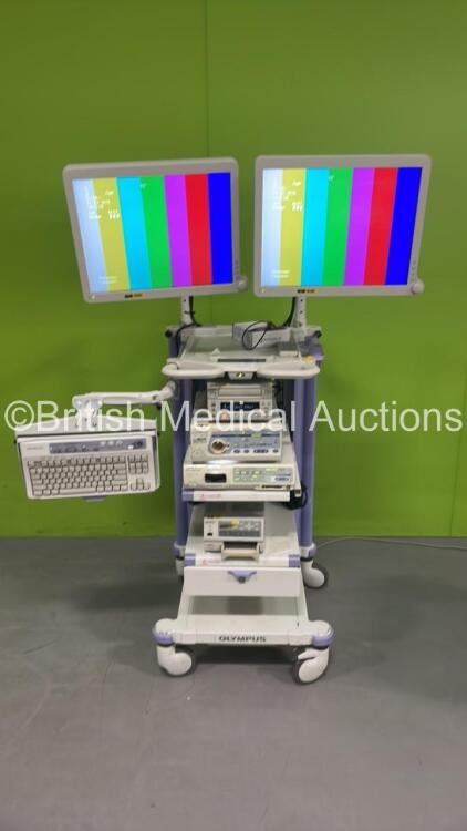Olympus Stack Trolley with 2 x Advan Monitors, Sony UP-21MD Colour ...
