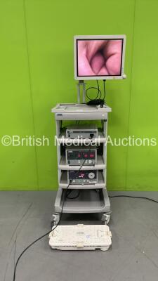 Karl Storz Stack System with Advan AMM213TD Monitor, Karl Storz 222000 ...