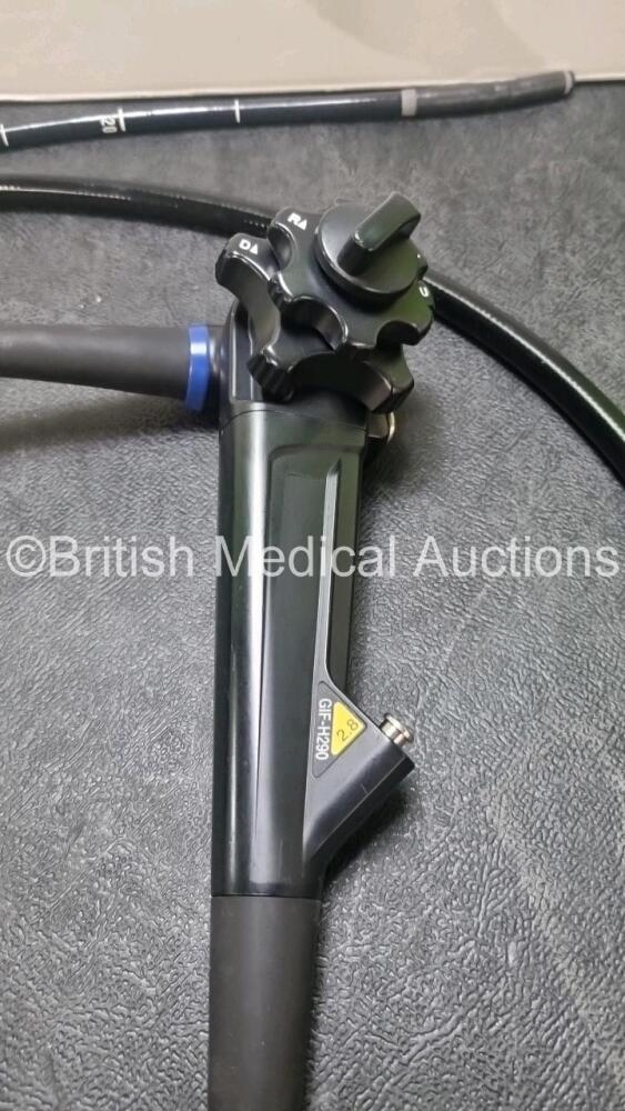 Olympus Evis Lucera Elite GIF-H290 Video Gastroscope *Mfd - 2017* in ...