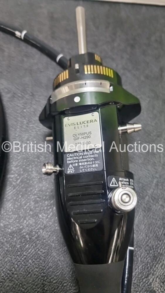 Olympus Evis Lucera Elite GIF-H290 Video Gastroscope *Mfd - 2017* in ...