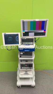 Storz Stack System with Storz WideView HD Monitor, Storz 200903 31 ...