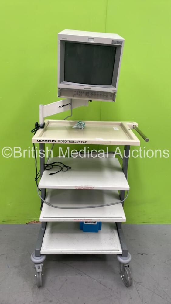 Olympus TV-2 Video Trolley with Sony Monitor (Powers Up) | August 2023 ...