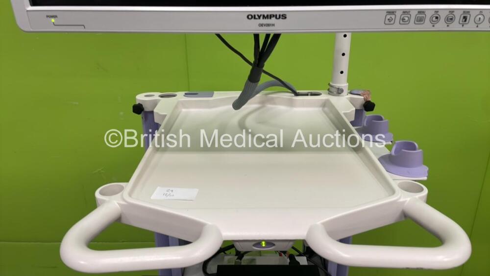 Olympus WM-NP1 Stack Trolley with Olympus OEV261H Monitor and Sony UP ...