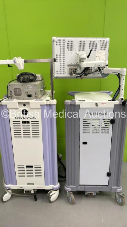 2 x Olympus Stack Trolleys with Olympus OEV261H Monitor, Olympus OES ...