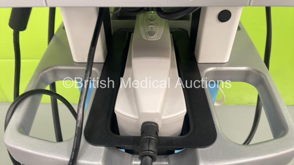 Lightlab Optical Coherence Tomography OCT Non-Occlusive Imaging of ...