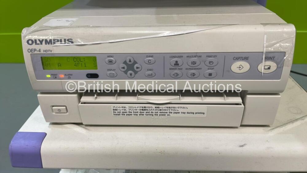 Olympus Stack Trolley with Olympus OEV261H Monitor, Olympus Visera ...