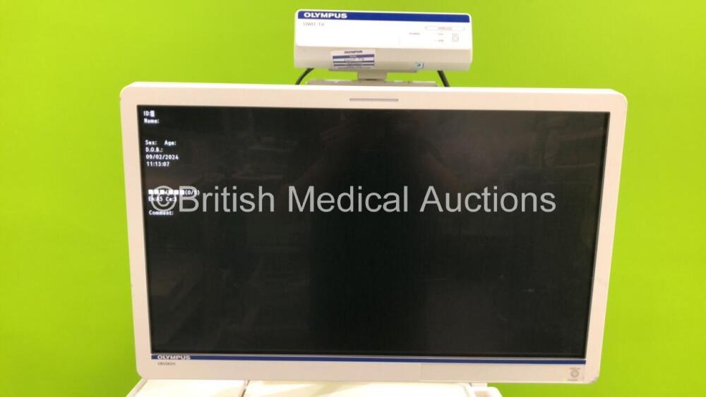Olympus Stack System Including Olympus OEV262H HD LCD Monitor,Olympus ...