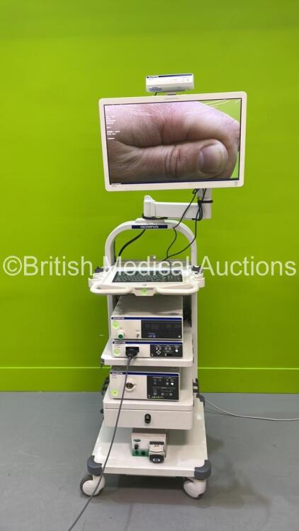 Olympus Stack System with Olympus OEV262H Monitor, Olympus UWIT-RX ...