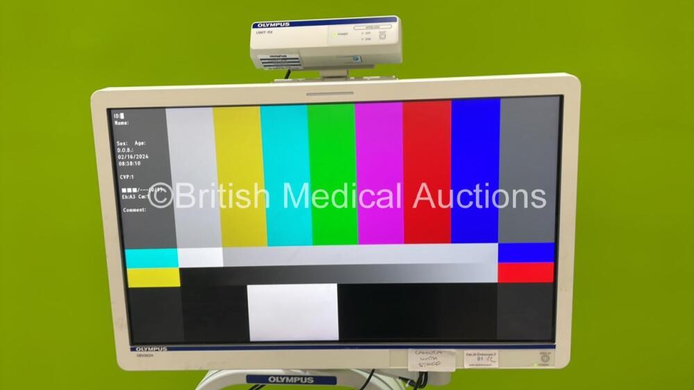 Olympus Stack System with Olympus OEV262H Monitor, Olympus UWIT-RX ...