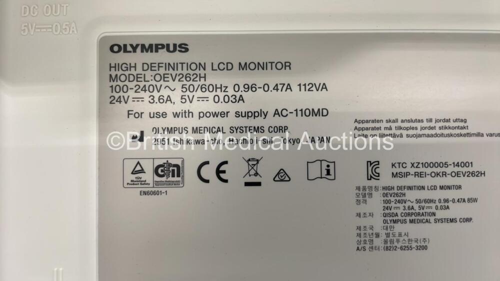 Olympus Stack System with Olympus OEV262H Monitor, Olympus UWIT-RX ...